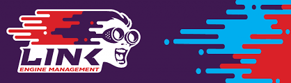Link ECU | Link Engine Management Solutions | Stealth Ride